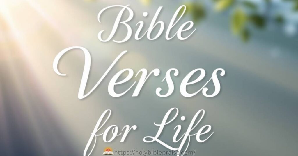 40 Best Bible Verses for Life